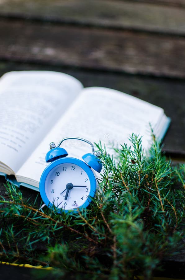 Open Book and Flowers for a Good Rest Stock Photo - Image of beautiful ...