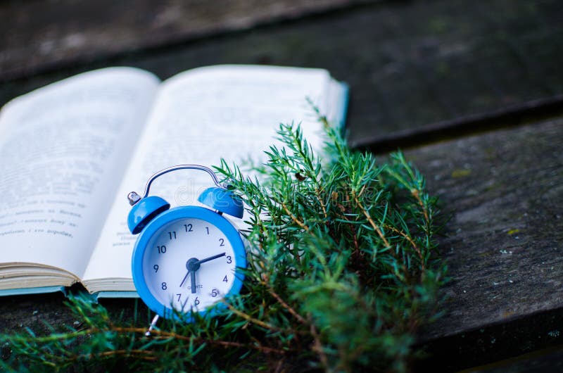 Open Book and Flowers for a Good Rest Stock Photo - Image of book ...