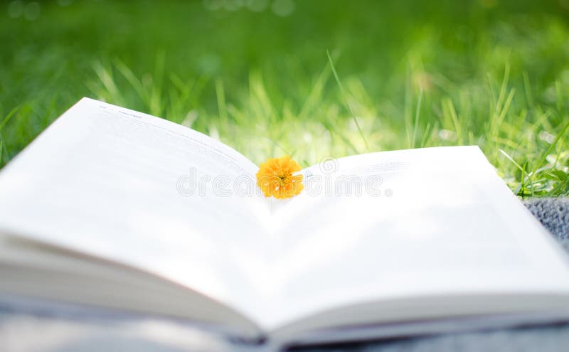 Open Book and Flowers for a Good Rest Stock Image - Image of love ...