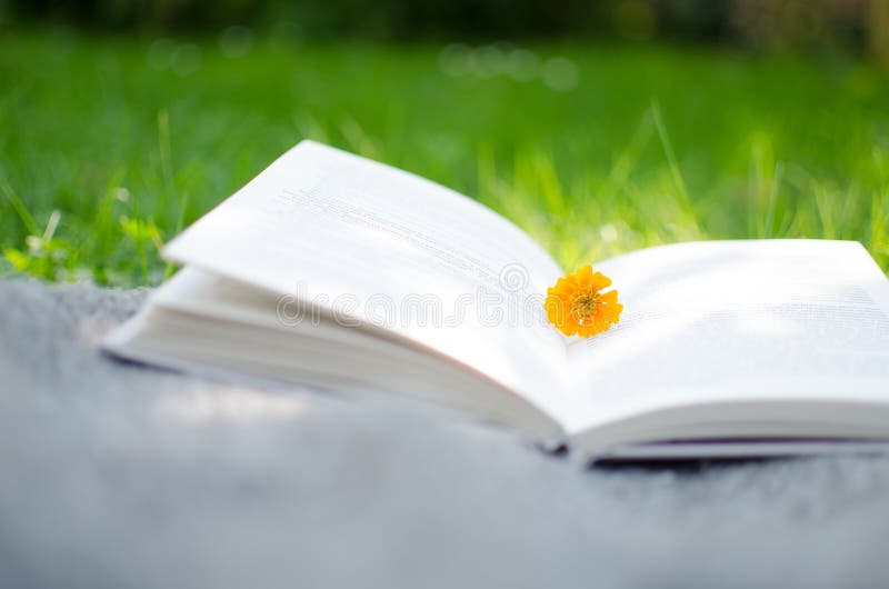 Open Book and Flowers for a Good Rest Stock Image - Image of open, pink ...