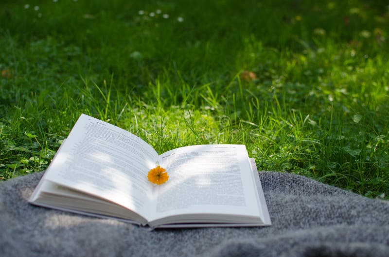 Open Book and Flowers for a Good Rest Stock Photo - Image of interior ...