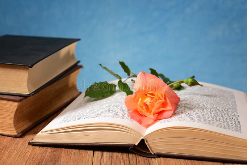 Open book and flowers stock image. Image of book, antique - 46950077