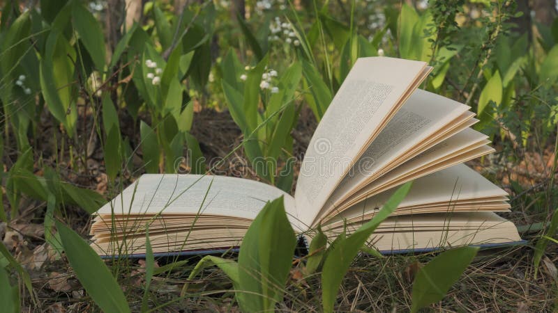 Open Book in Forest among Lily of the Valley Stock Footage - Video of ...