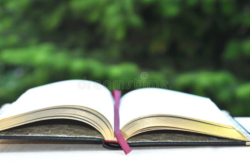 Book with Golden Pages on Table with Pages Forming Heart Stock Image ...