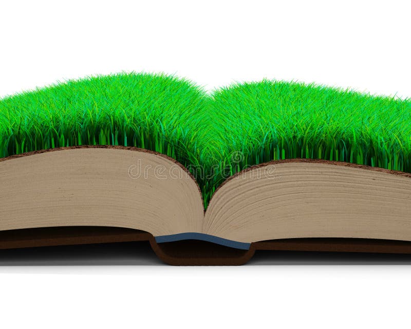 Open Book Of Grass And Soil Texture Page. 3D Illustration Stock Image ...