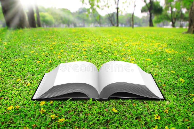 Stack of Books on Green Grass Stock Image - Image of summer, concepts ...