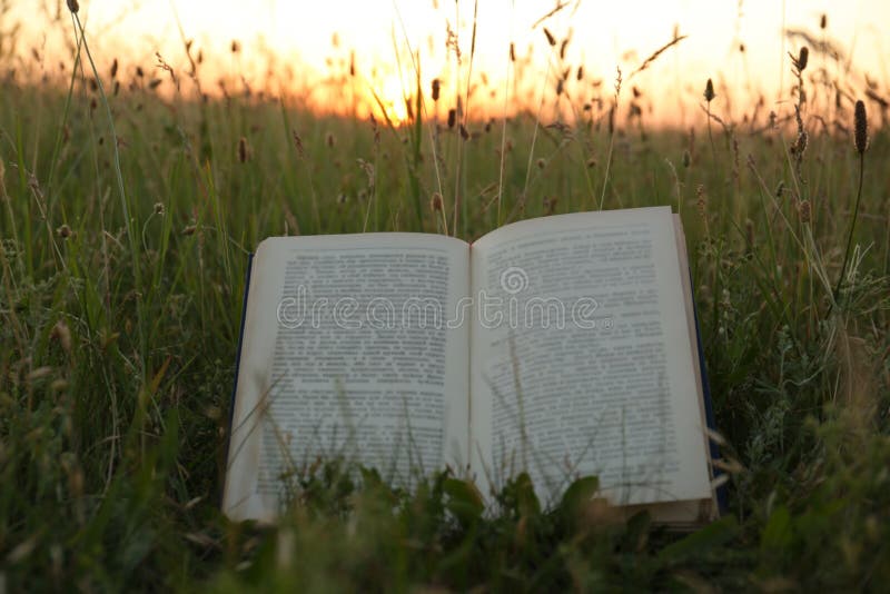 Open Book on Green Grass in Field at Sunset Stock Image - Image of ...