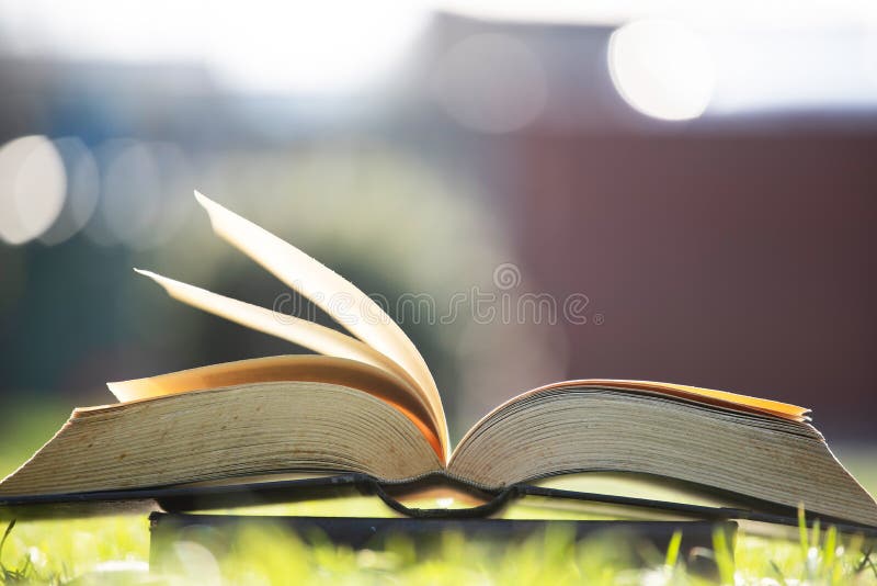 Open book in green grass stock photo. Image of beautiful - 178650430