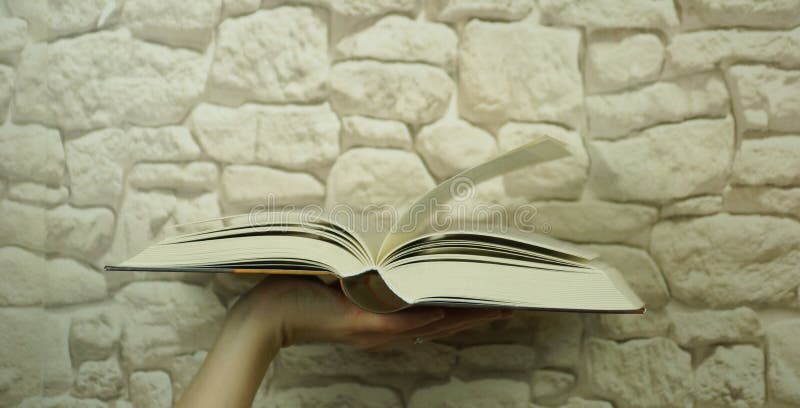 Open Book in a Woman`s Hand Stock Photo - Image of easy, board: 206943310