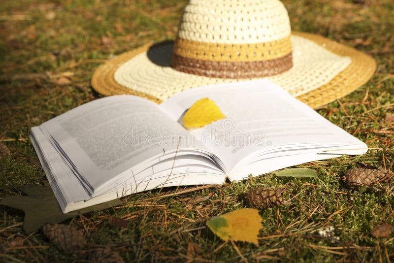 Open Book, Hat and Leaves on Grass Outdoors Stock Photo - Image of ...