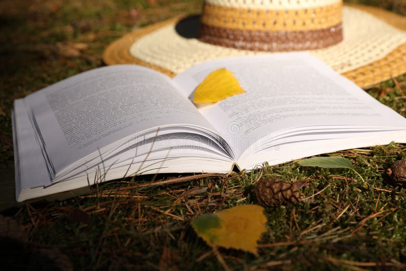 Open Book, Hat and Leaves on Grass Outdoors, Closeup Stock Image ...