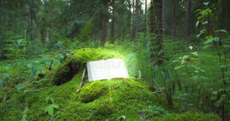 Open Book Holy Bible Glowing on a Moss-covered Fallen Tree in a Forest ...