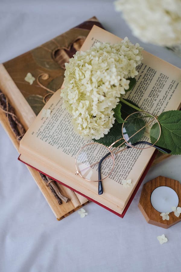 Open Book with Hydrangea Flowers and Glasses on White Bed Stock Image ...