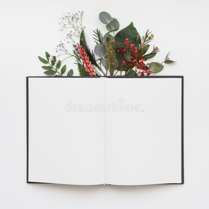 Open Book Leaves . High Quality and Resolution Beautiful Photo Concept ...