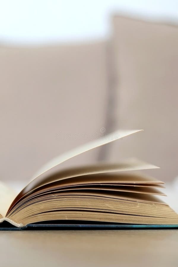 Open Book stock image. Image of neutral, open, inside - 156972803