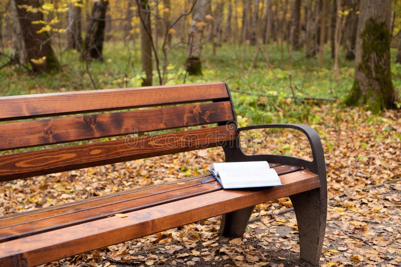 882 Open Book Park Bench Stock Photos - Free & Royalty-Free Stock ...