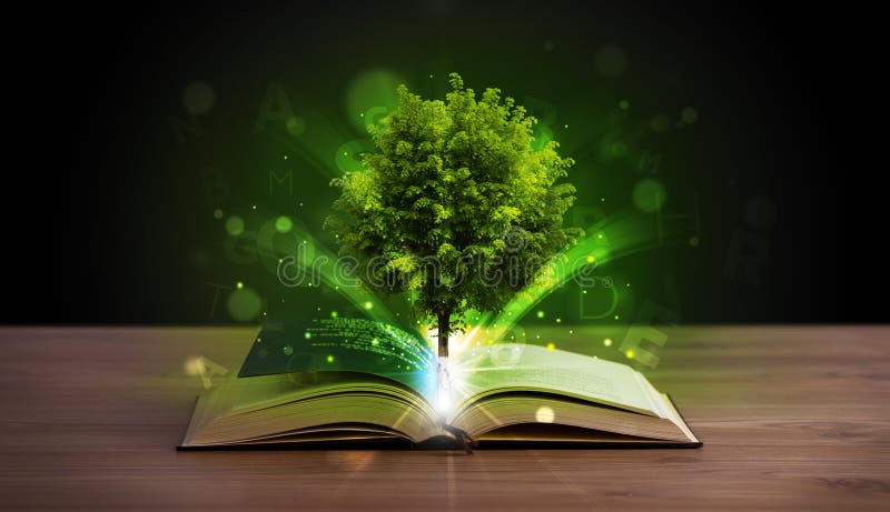 Open Book with Magical Green Tree Stock Image - Image of plants, rays ...