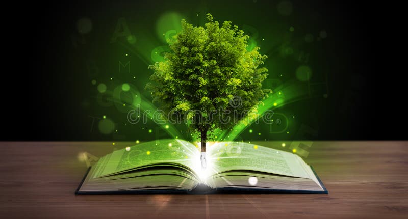 Open Book Magical Green Tree Rays Light Stock Illustrations – 28 Open ...