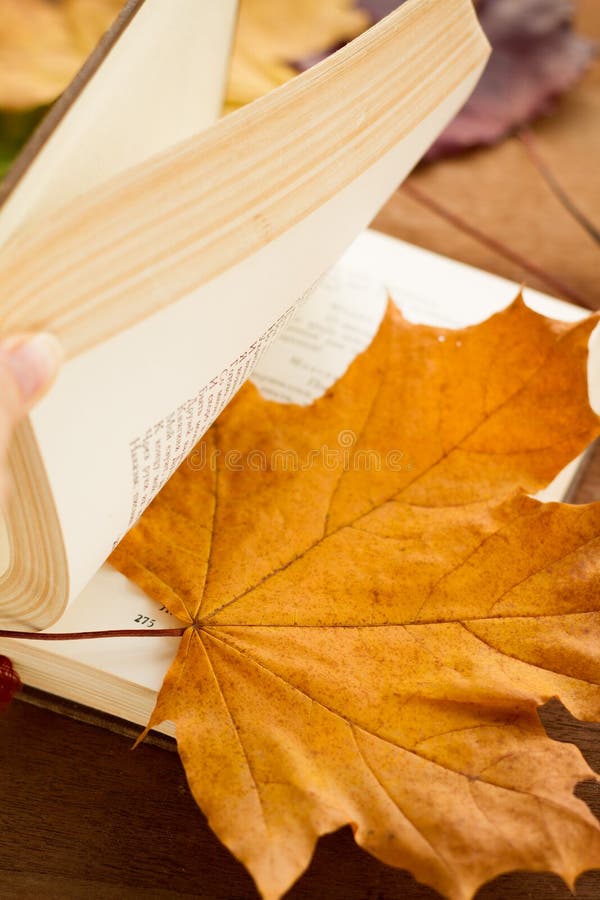 A book and an autumn leaf stock photo. Image of background - 27145552