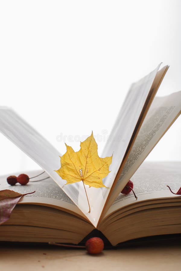 The Book with Maple Leaves and Everlasting Flowers Stock Photo - Image ...