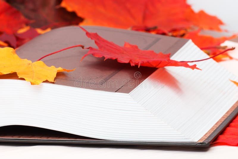 803 Open Book Maple Leaves Stock Photos - Free & Royalty-Free Stock ...