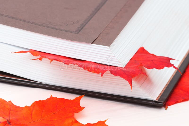 803 Open Book Maple Leaves Stock Photos - Free & Royalty-Free Stock ...