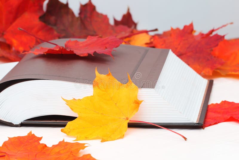 803 Open Book Maple Leaves Stock Photos - Free & Royalty-Free Stock ...