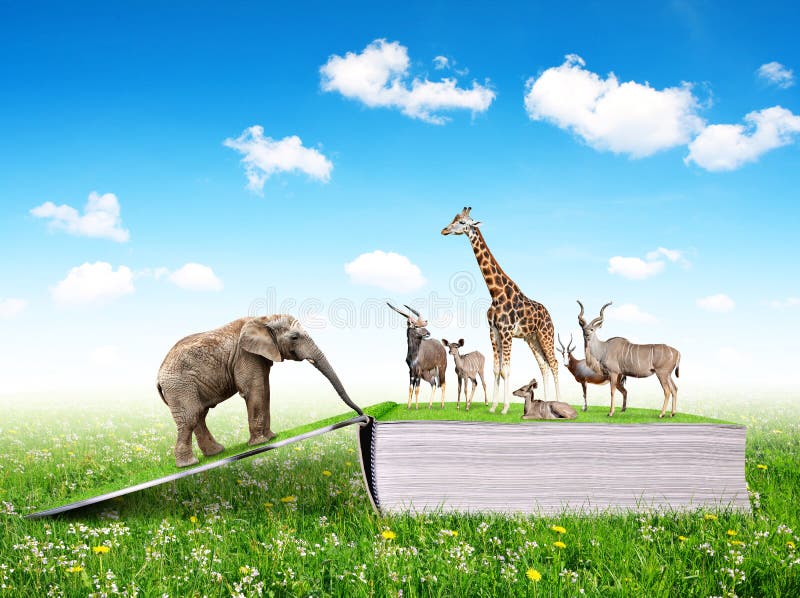 291 Open Book Image Animals Stock Photos - Free & Royalty-Free Stock ...