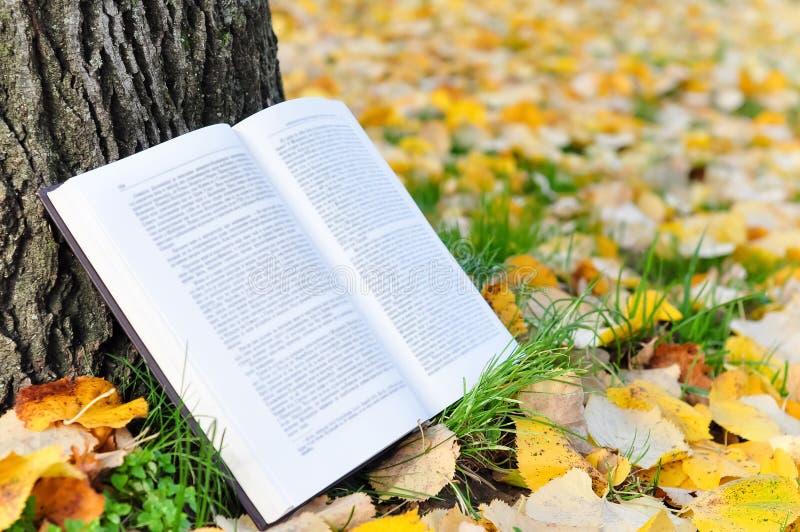 Open book in nature stock photo. Image of object, leaves - 49448566