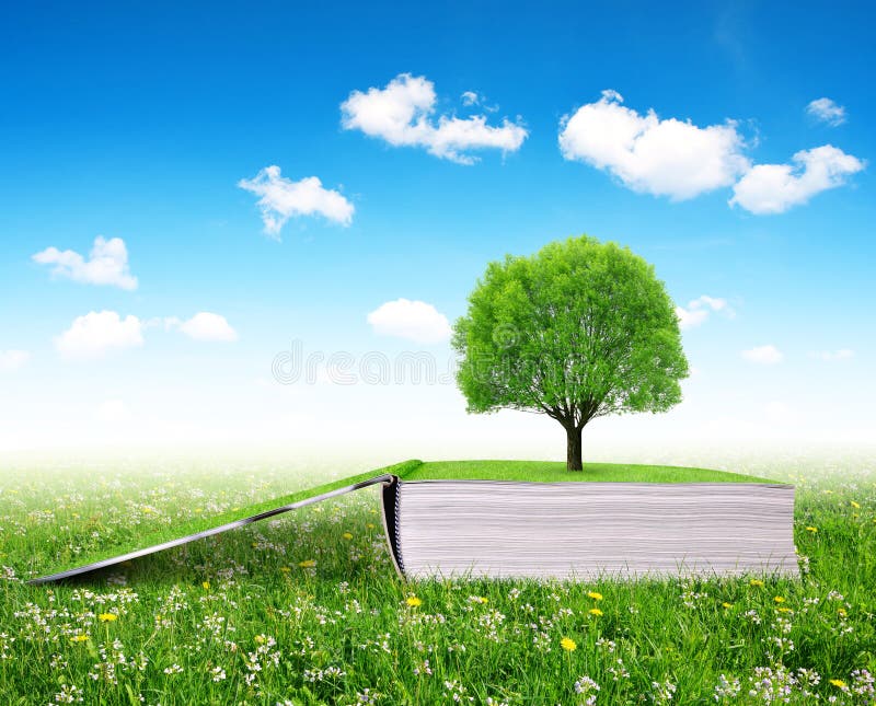 An open book with a tree stock vector. Illustration of sheets - 39485220