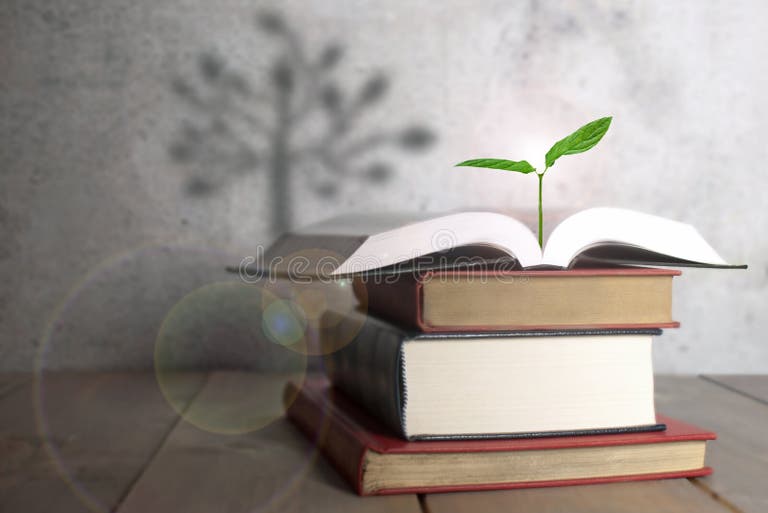 Open book with tree shadow stock photo. Image of ideas - 99063458