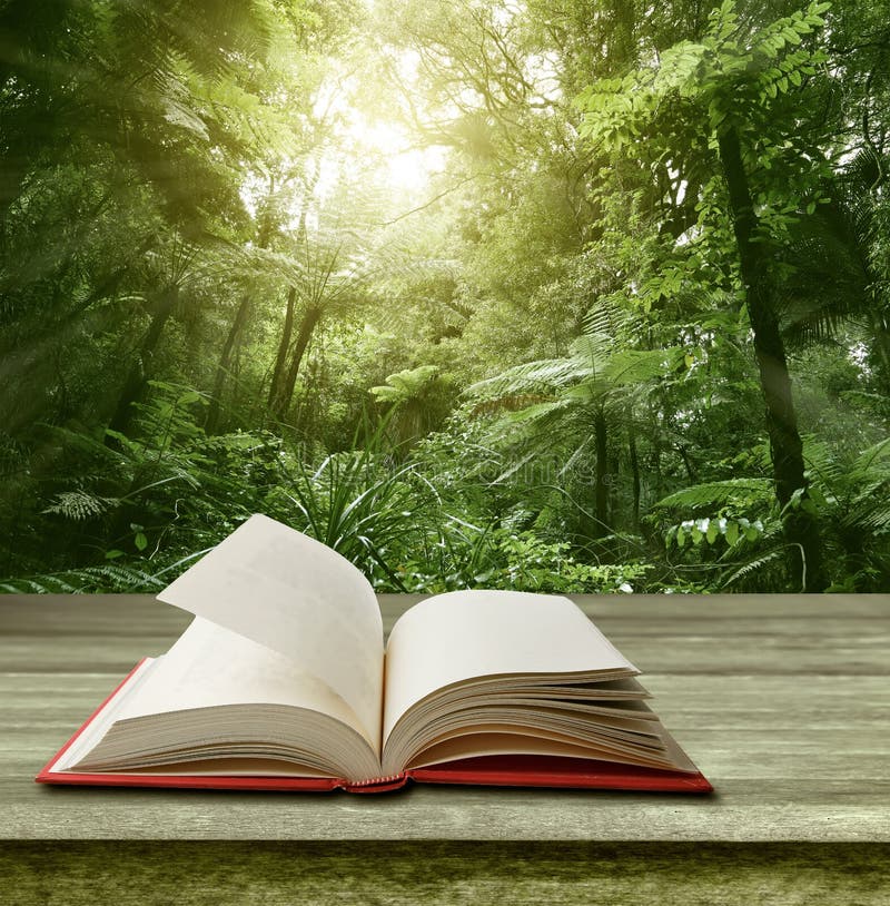 Open book on table stock photo. Image of green, table - 215547542