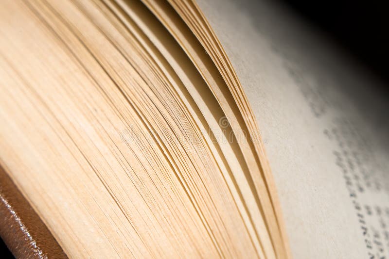 Open book page stock photo. Image of white, book, conceptual - 12905732