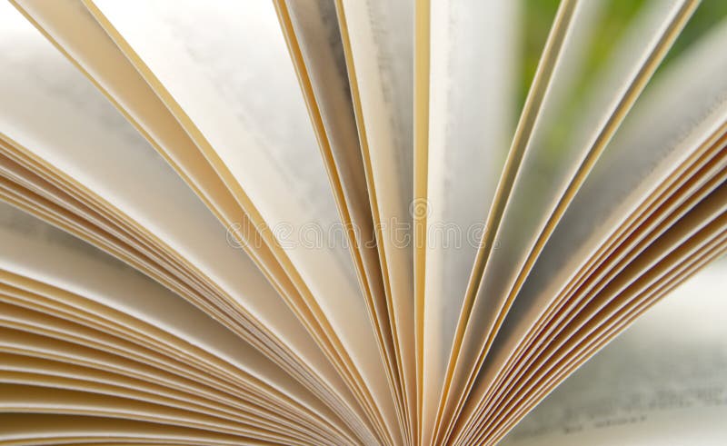 Open book pages stock image. Image of literature, open - 209091575