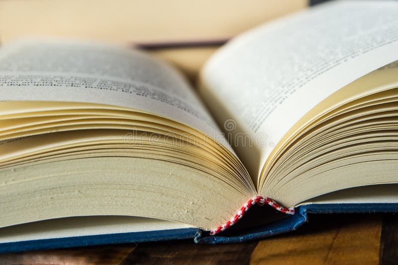 Open book stock photo. Image of books, blank, open, page - 91503410