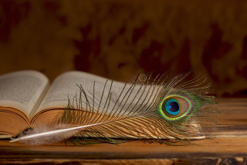 169 Peacock Feather Book Stock Photos - Free & Royalty-Free Stock ...