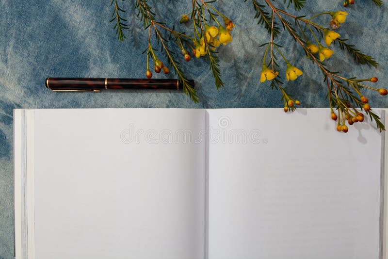 Open Book and Pen on the Blue Cloth Stock Photo - Image of horizontal ...