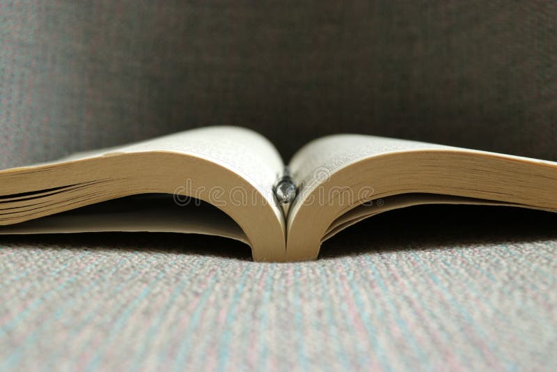 Cartoon Half Open Book