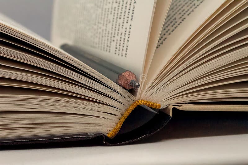 Image of an Open Book and a Pencil Lying in the Middle Stock Image ...