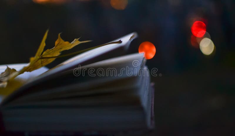 Open Book of Poetry with Fallen Leaf on it Stock Photo - Image of open ...