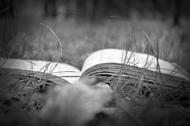 Open Book. Reading Text. Knowledge is Written in Books. Training ...