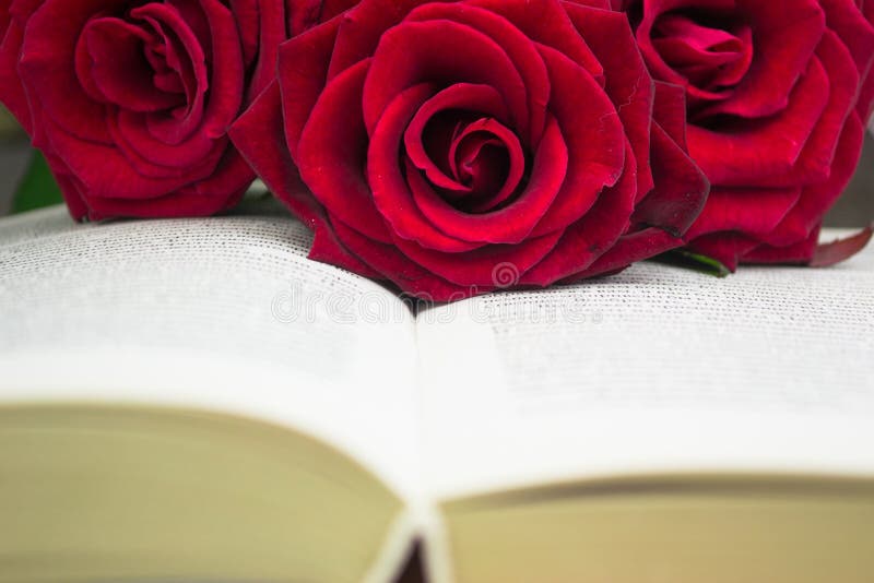 The Open Book and Red Roses. Stock Photo - Image of celebration, christ ...