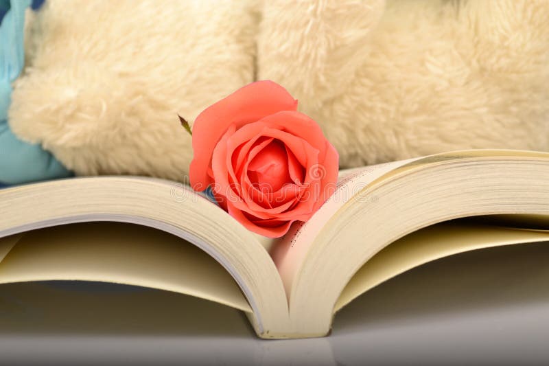 Open the book and roses stock photo. Image of rose, yellow - 343857914
