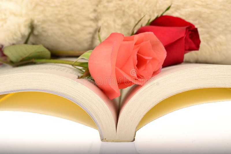 Open the book and roses stock photo. Image of library - 343857920