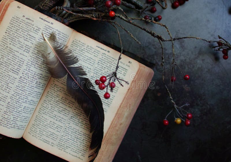 An open book editorial stock photo. Image of book, scriptures - 101830943