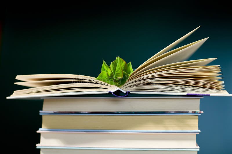 Open Book, Stack of Books with Branch Green Leaves, World Book Day ...