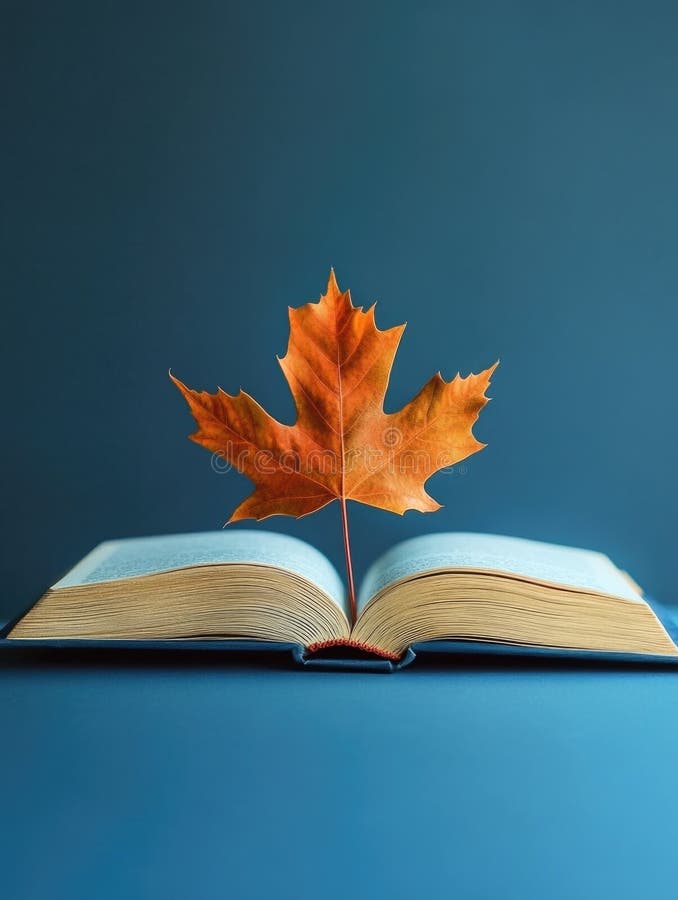 Open Book with Sticking Leaf Stock Photo - Image of school, education ...