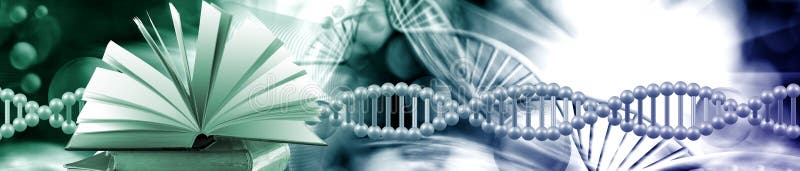 An Open Book Symbolizing the Source of Knowledge. a Book Lying on a ...