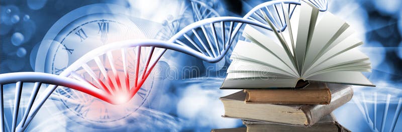 An Open Book Symbolizing the Source of Knowledge. a Book Lying on a ...