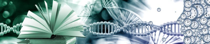 An Open Book Symbolizing the Source of Knowledge. a Book Lying on a ...